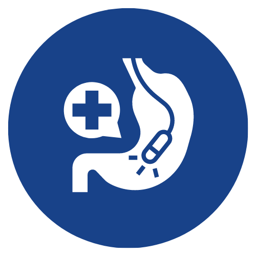 Endoscopy | Morgan Equine Surgery & Sports Medicine